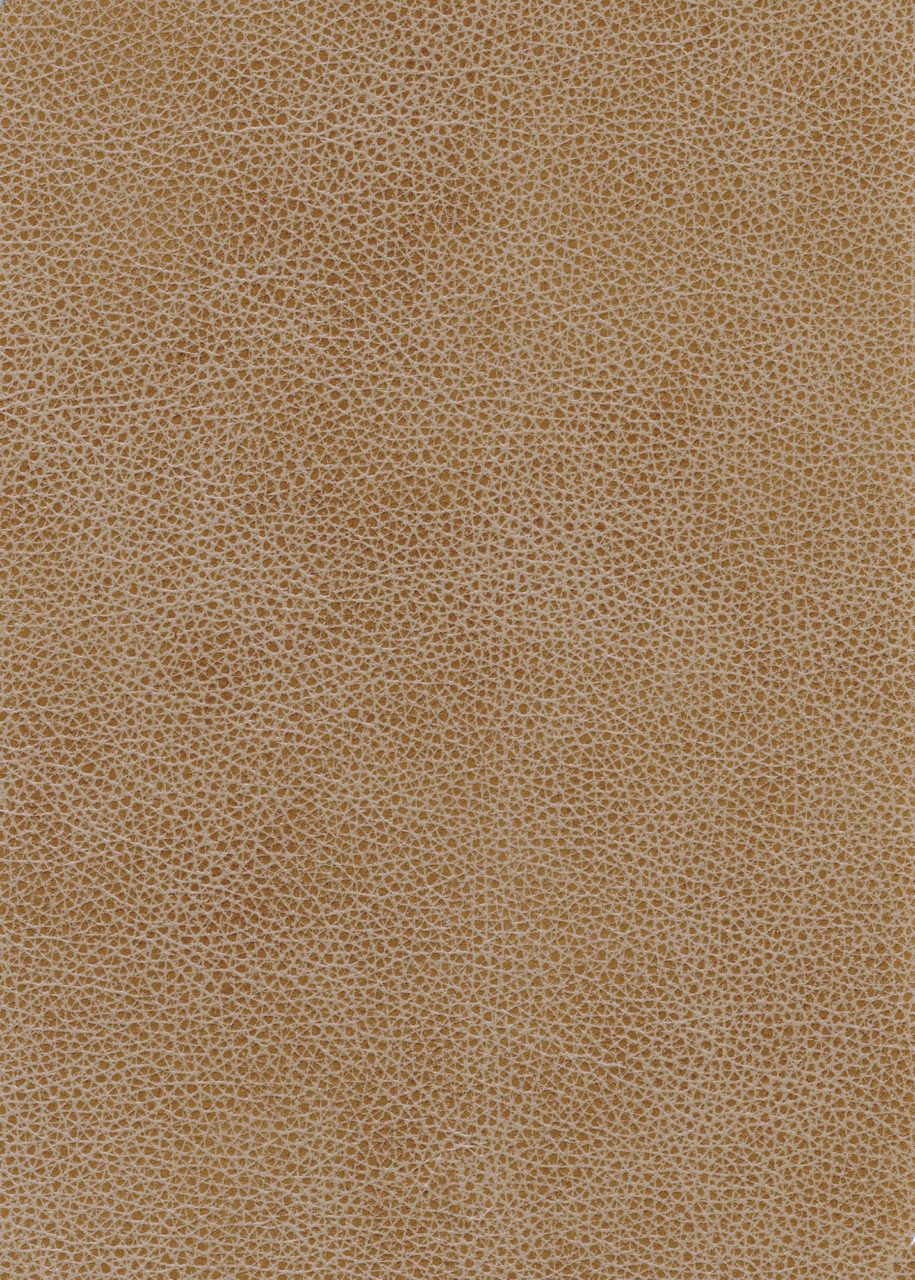 Colorado Sand - Sherborne Upholstery