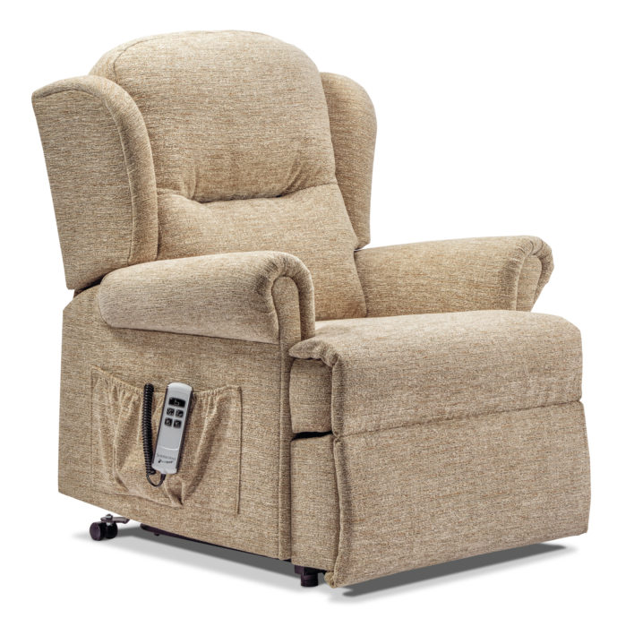 Lynton Petite / Small / Standard / Royale Fabric Electric Riser ...